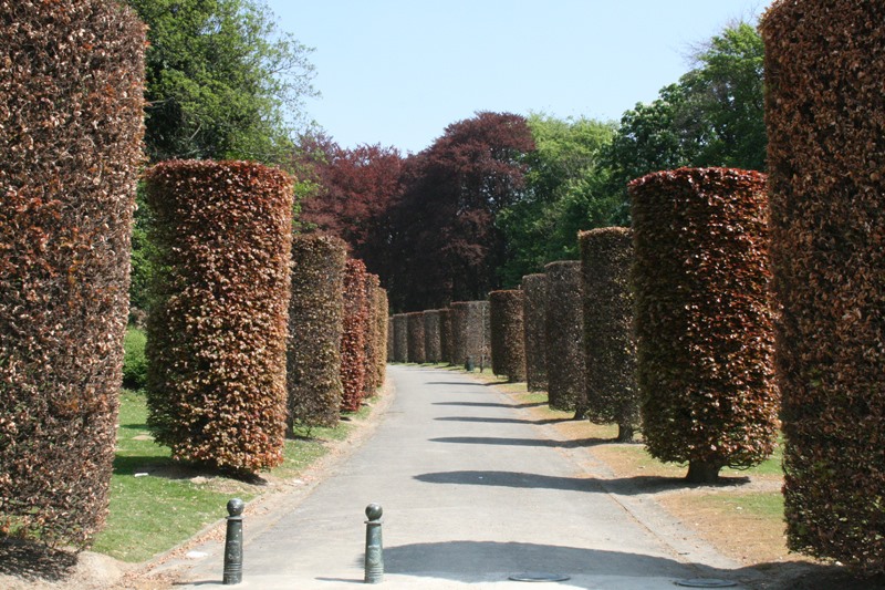 Het Atomium op de Heizel Brussel