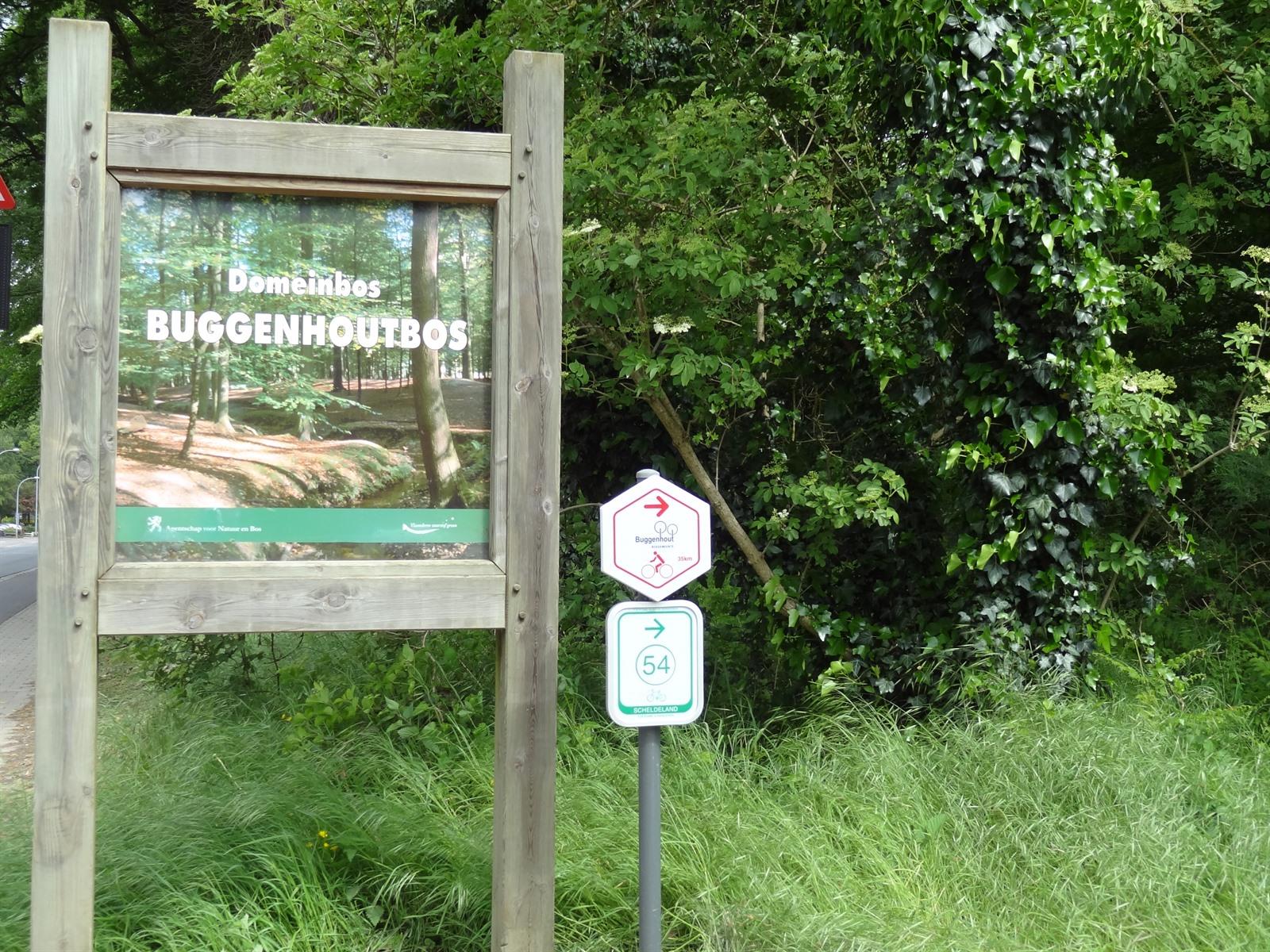 Ontdek Buggenhout bos, natuurgebied Vlassenbroek