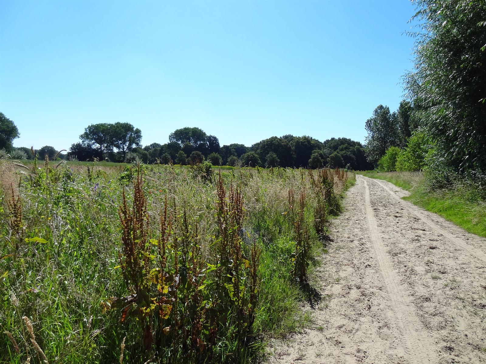 Met gratis reisgids Waasland de regio Waasland verkennen