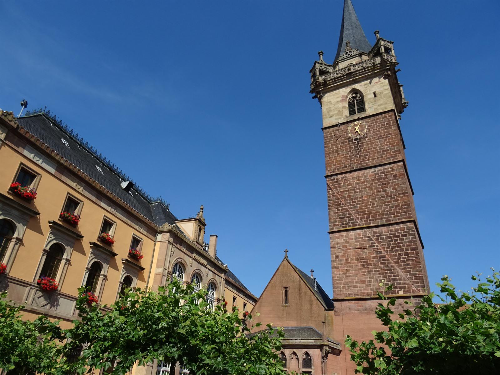 Download onze wandelroute in Obernai